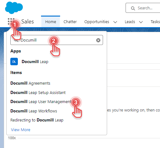 Adding a Salesforce User to Leap